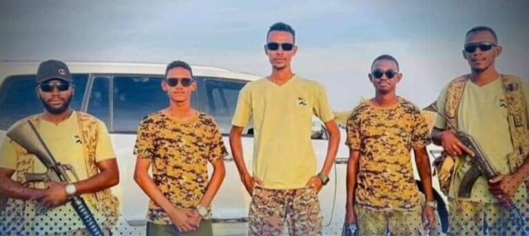 Al-Baraa Battalion issues a notice to the Sudanese people - Darfur Followups